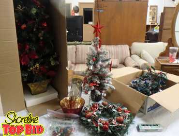 Shoreline Top Bid | Christmas Lot - X-Mas Tree Light Up