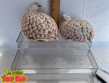 Shoreline Top Bid | Arnel's Quail/Partridge Naomi...