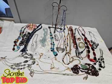 Shoreline Top Bid | Large lot of 25 necklaces / 4...