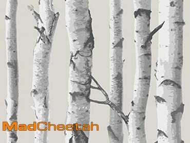 MadCheetah.com | NuWallpaper NU3128 Birch Tree Peel